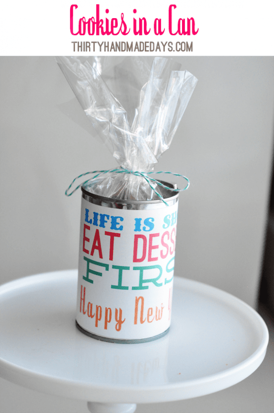 30 Recycled Tin Can Crafts that will Amaze | How To Build It