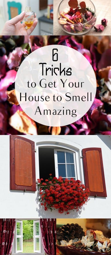 6 Tricks to Get Your House to Smell Amazing | How To Build It