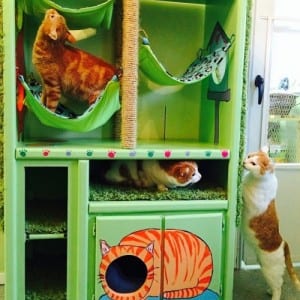 22 Great Ideas for Recycling an Entertainment Center