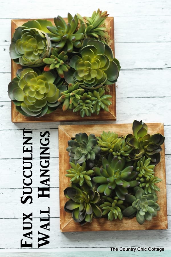 10 Easy Succulent Craft Projects | How To Build It