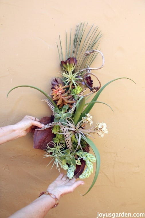 10 Easy Succulent Craft Projects | How To Build It