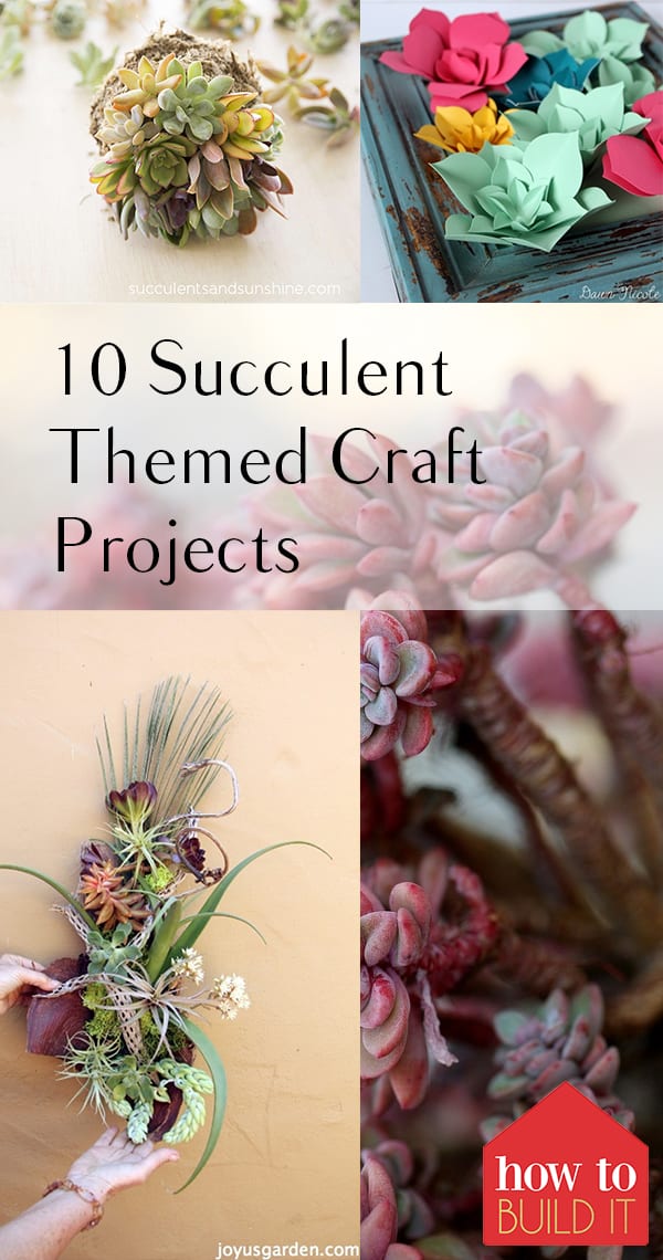 10 Easy Succulent Craft Projects | How To Build It