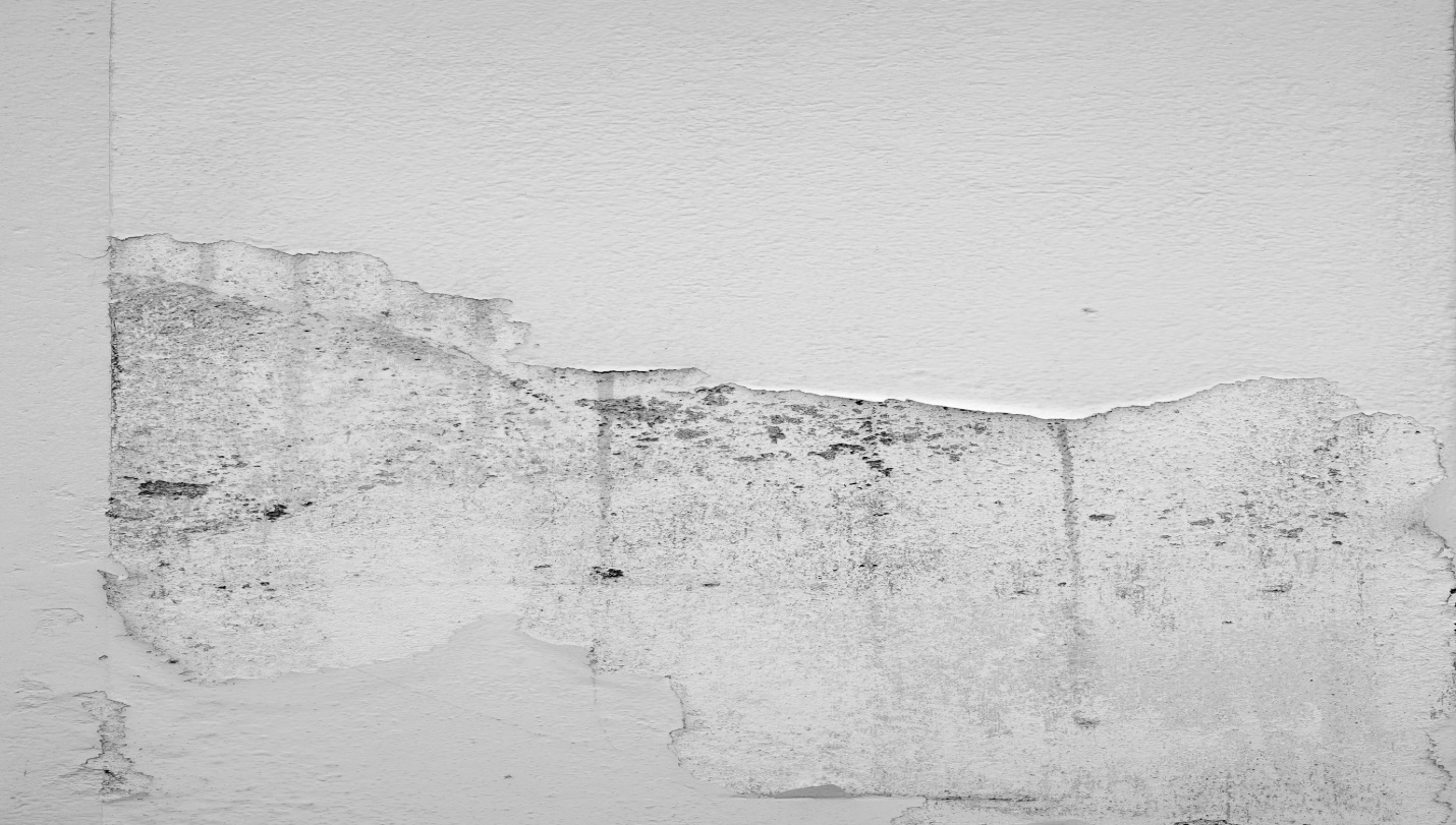 Drywall Alternatives – Spruce up Your Interior Walls with These ...
